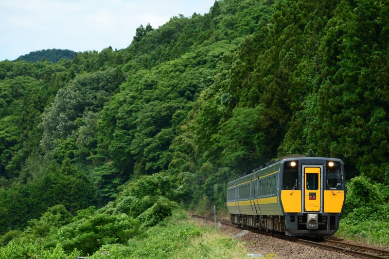 D51の撮影へ～山口線へ⑥ : √Route1005