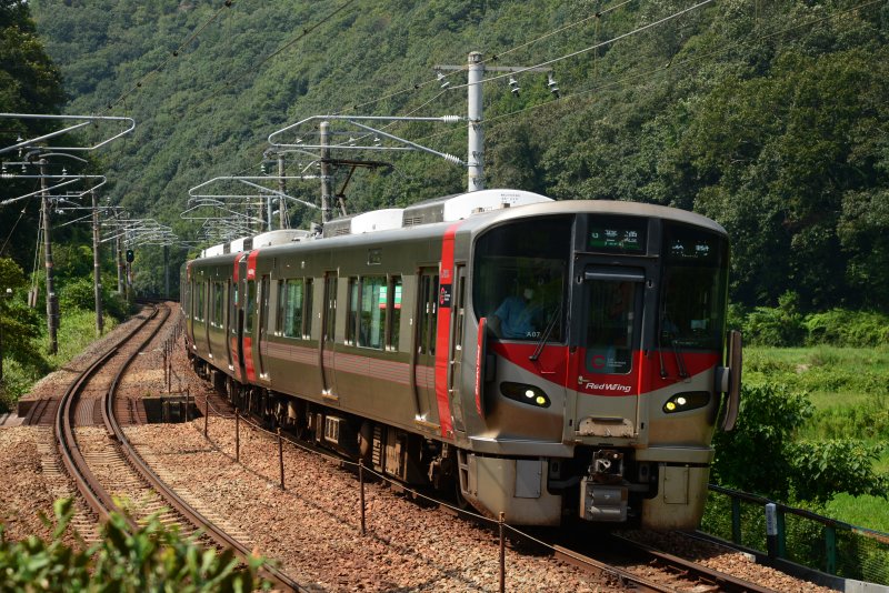 山陽本線入野で桃狩り③ : √Route1005