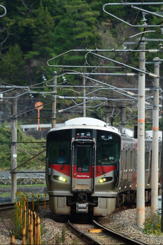 セノハチ！ : √Route1005