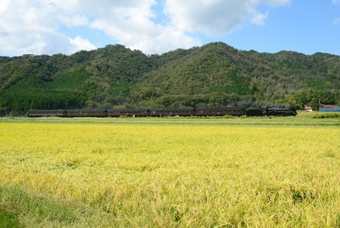 SL撮影で山口線② : √Route1005