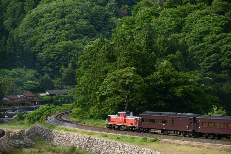 D51の撮影へ～山口線へ⑦ : √Route1005