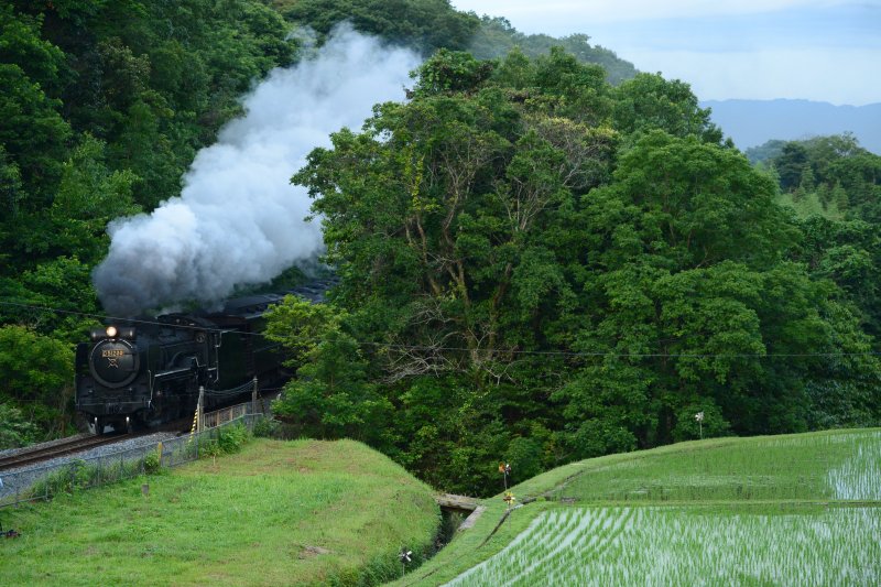 D51の撮影へ～山口線へ : √Route1005