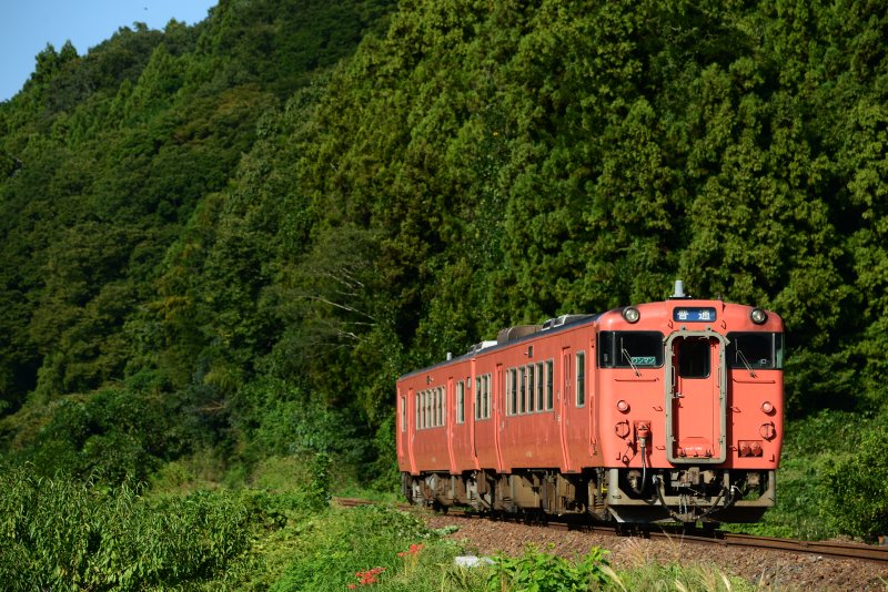 SL撮影で山口線④ : √Route1005