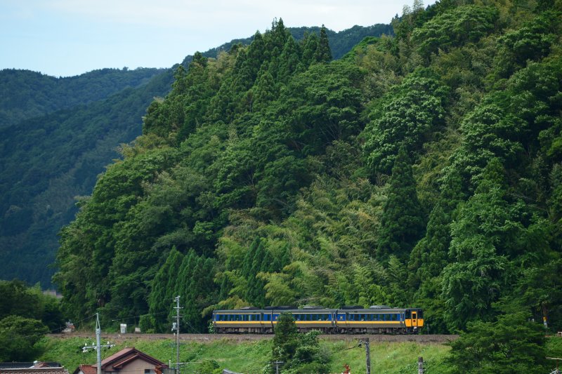 D51の撮影へ～山口線へ⑥ : √Route1005