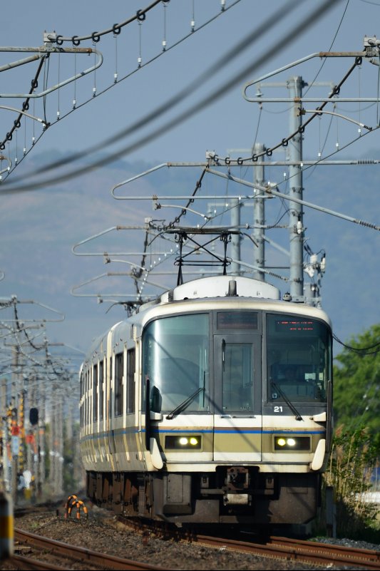 Expまほろば安寧を狙いに : √Route1005