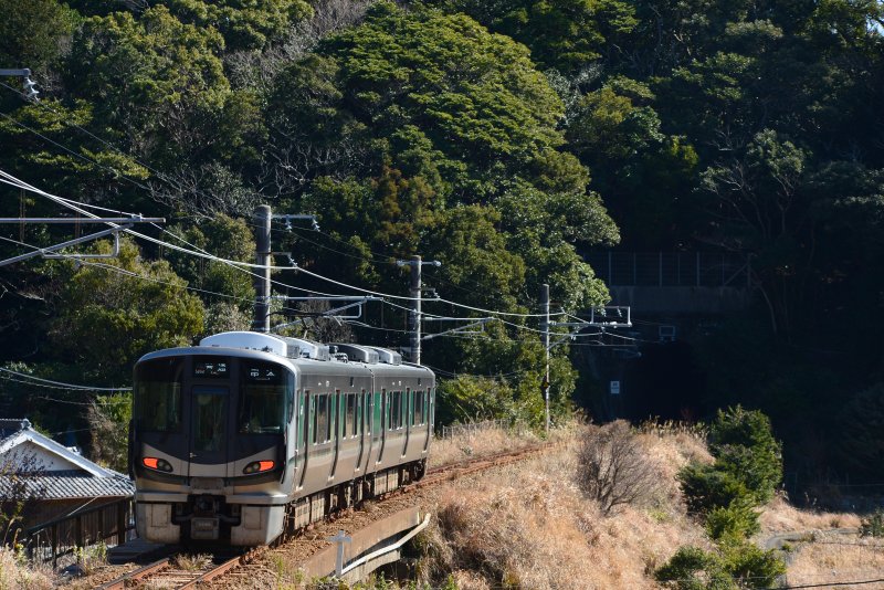 Exp銀河を狙いに・・・③ : √Route1005