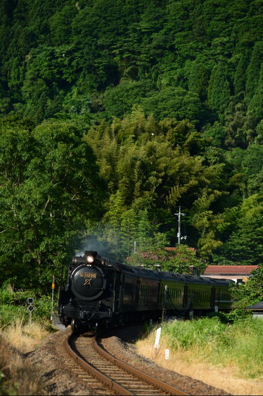 D51の撮影へ～山口線へ③ : √Route1005