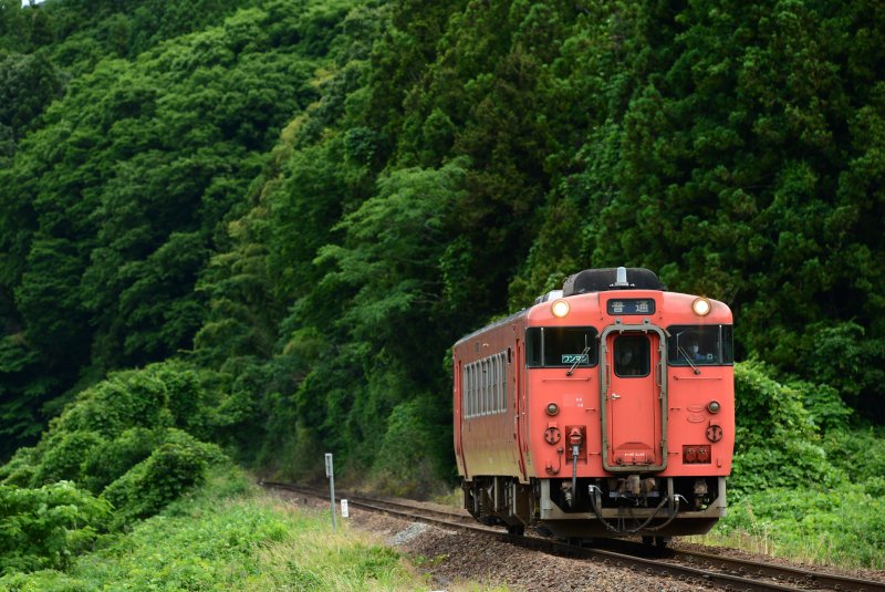 D51の撮影へ～山口線へ⑥ : √Route1005