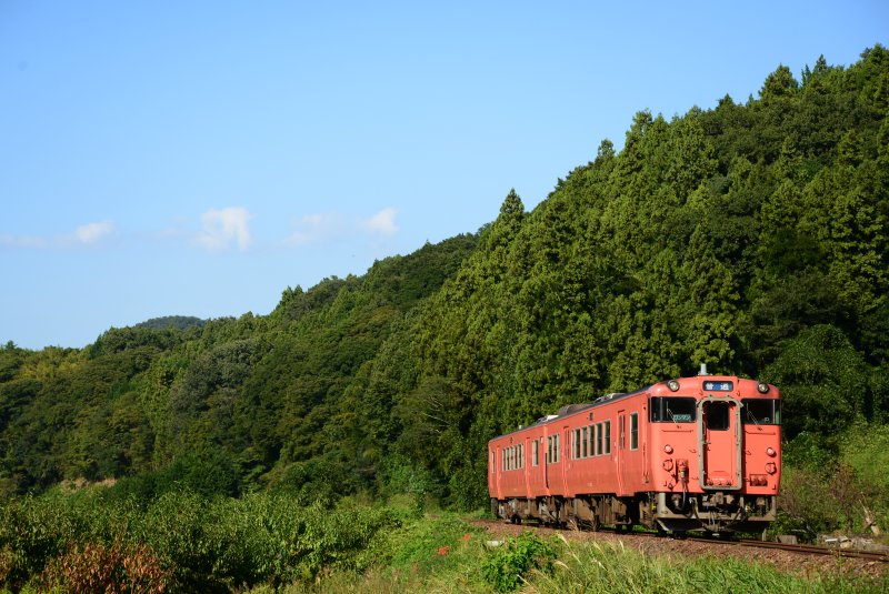 SL撮影で山口線④ : √Route1005