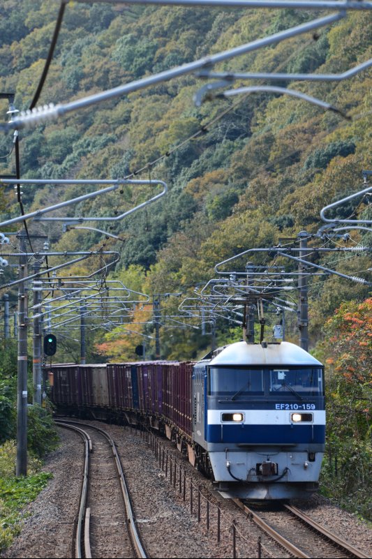 いざ、入野へ④ : √Route1005