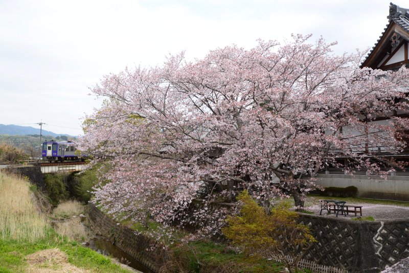 またまた関西山線へ : √Route1005