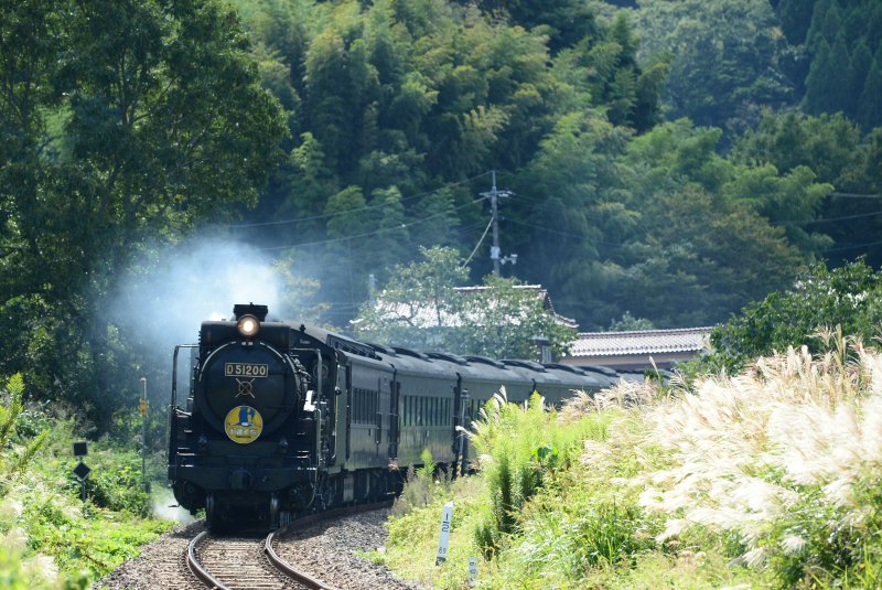 SL撮影で山口線② : √Route1005