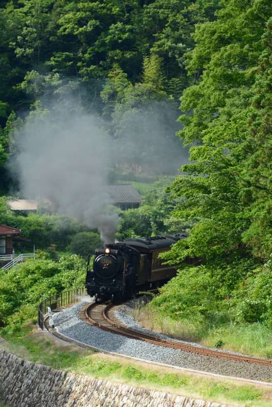 D51の撮影へ～山口線へ⑦ : √Route1005