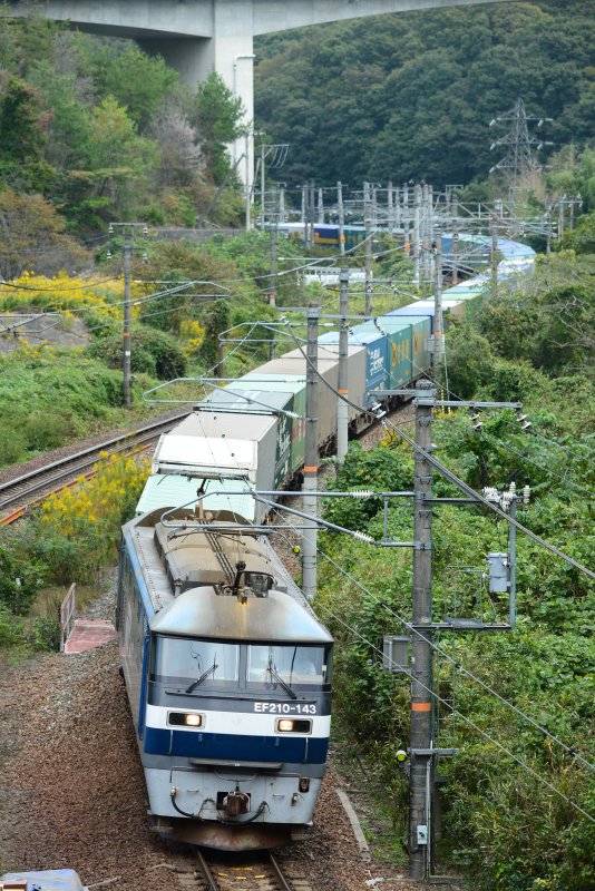 セノハチ！③ : √Route1005