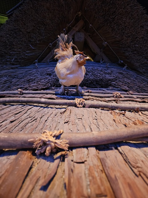 https://ameblo.jp/ostrum6/ : majirenbozuのblog