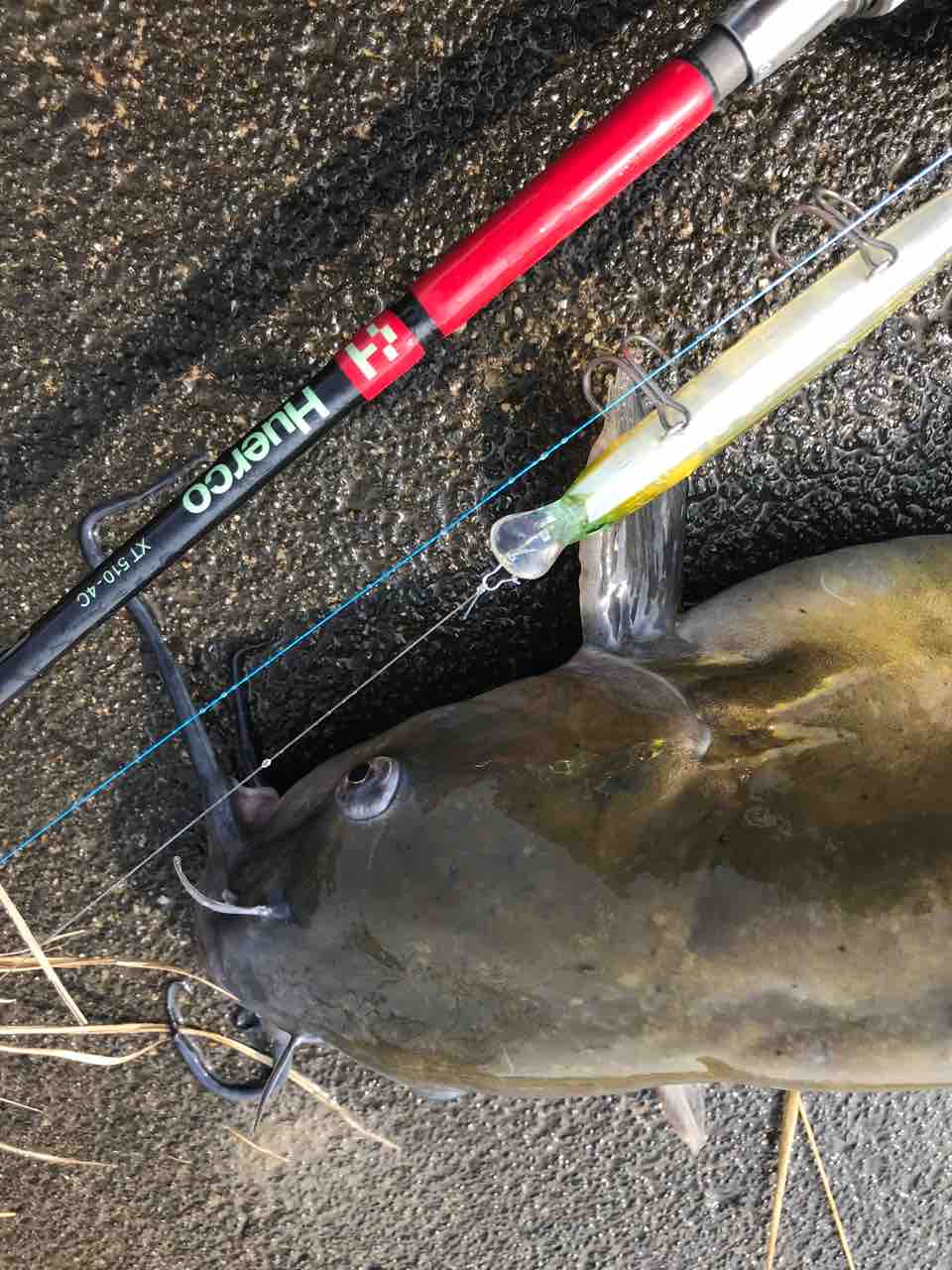 プラグでバスが釣りたくて 2018.3.27 霞ヶ浦釣行 : 都市型釣りブログ プラグでバスが釣りたくて 2018.3.27 霞ヶ浦釣行 : 都市型釣りブログ