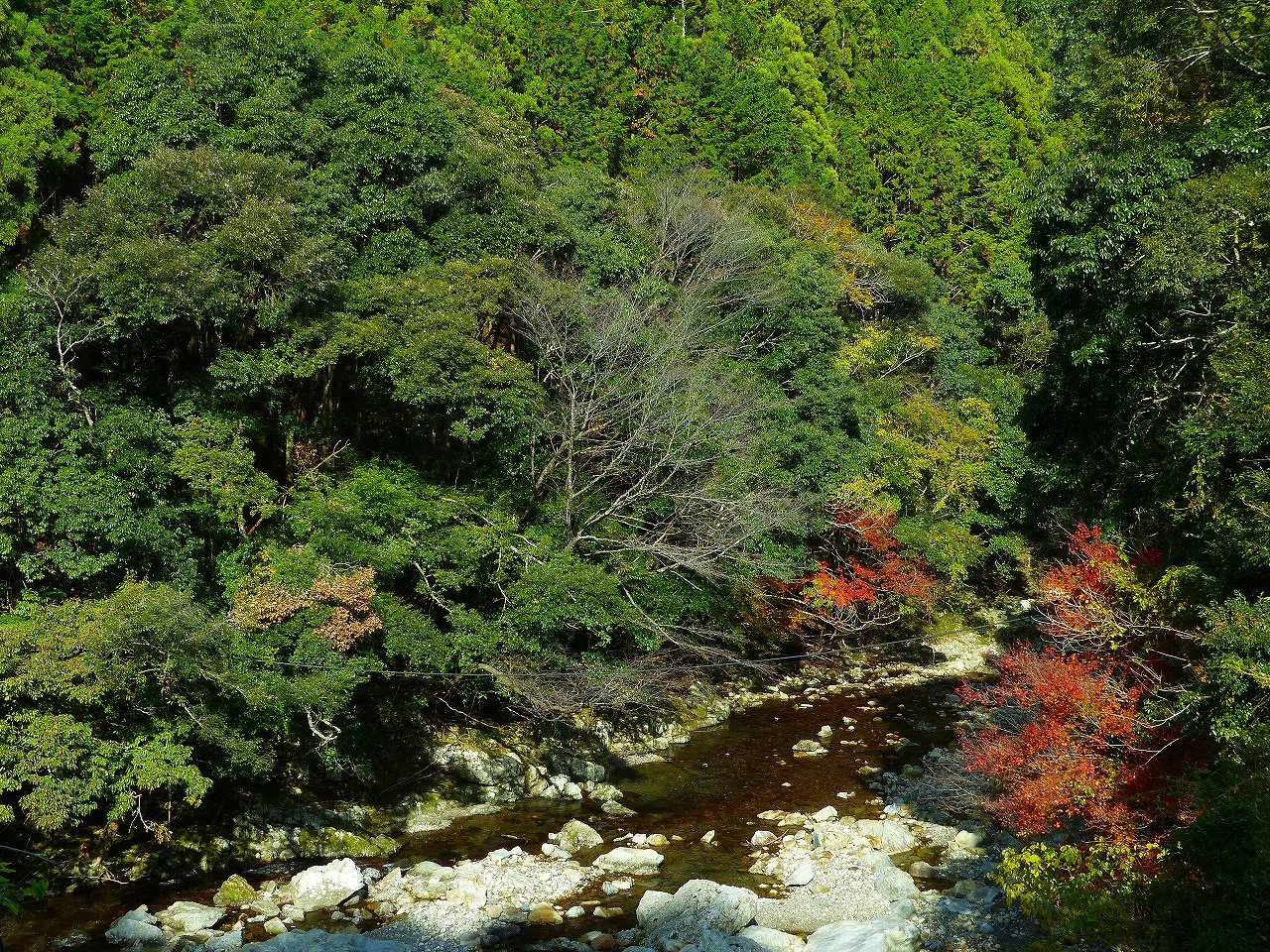 バイクと！ : ワイが自然の紅葉を山ほどUPするよ！