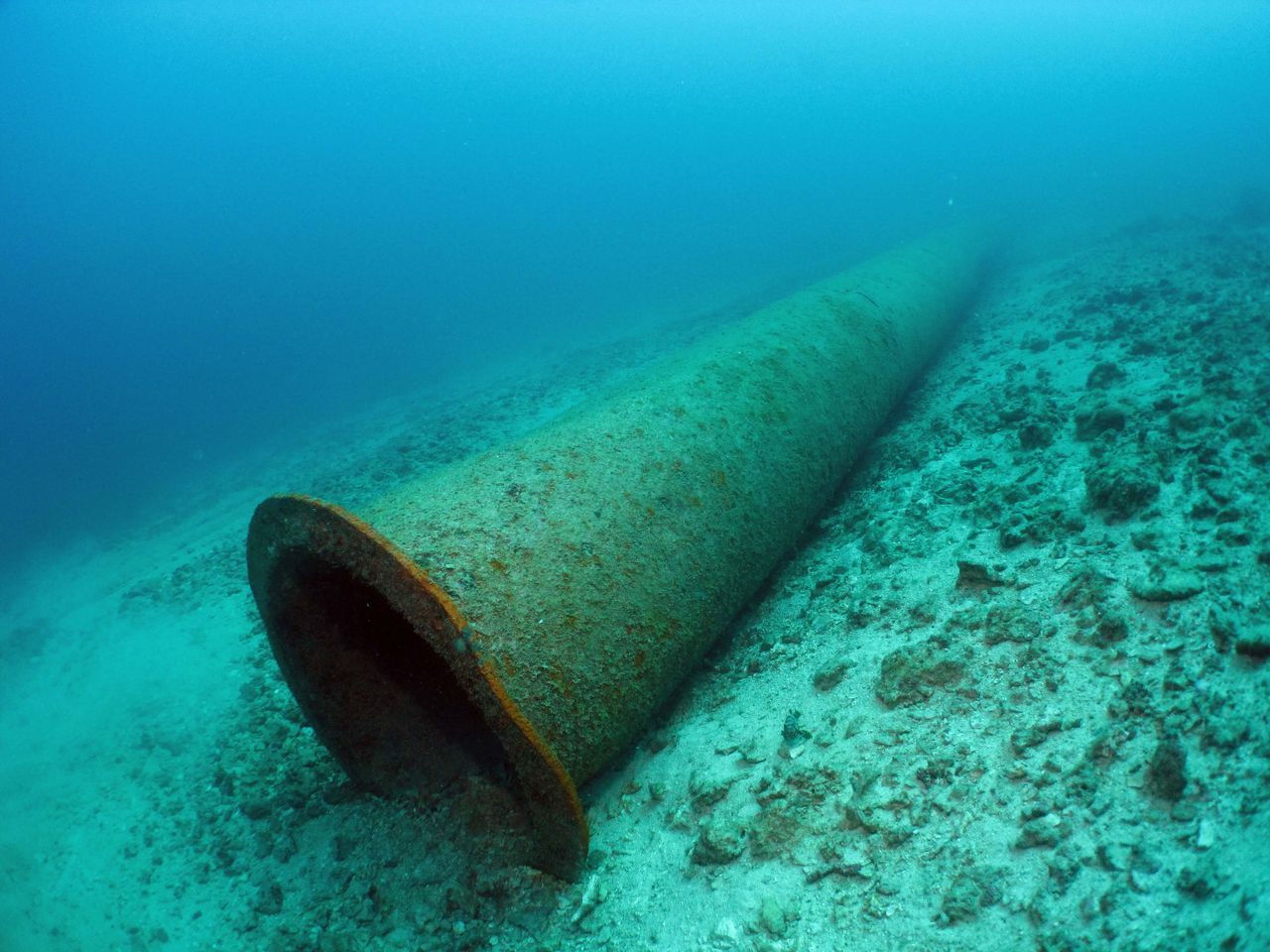 久しぶりのポイント : 沖縄ダイビング日記【マナブログ】｜沖縄ダイビングサービスMANA 那覇ショップ