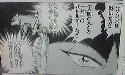 『WILD HALF』16巻 : シロクマの独吠