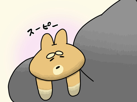 柴犬 彗くんとまおうの生活 : 本当にあった不眠解消の話