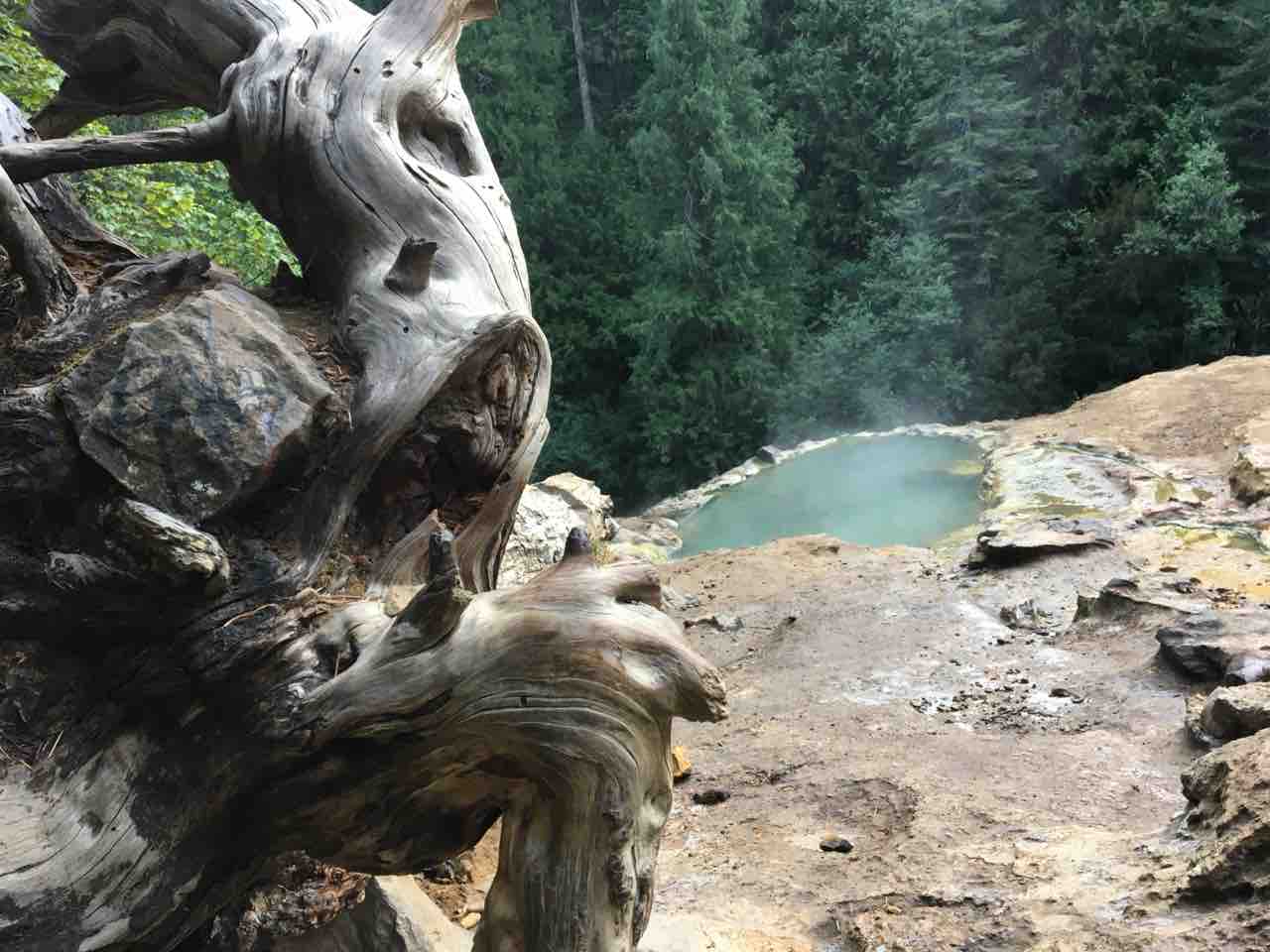オレゴン州の天然温泉に行った時の話 Umpqua hot springs : markott29のblog