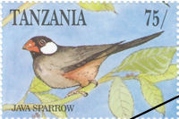 丸文堂:Java Sparrow Paper Models - livedoor Blog（ブログ）