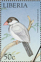 丸文堂:Java Sparrow Paper Models - livedoor Blog（ブログ）