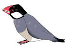 丸文堂:Java Sparrow Paper Models - livedoor Blog（ブログ）