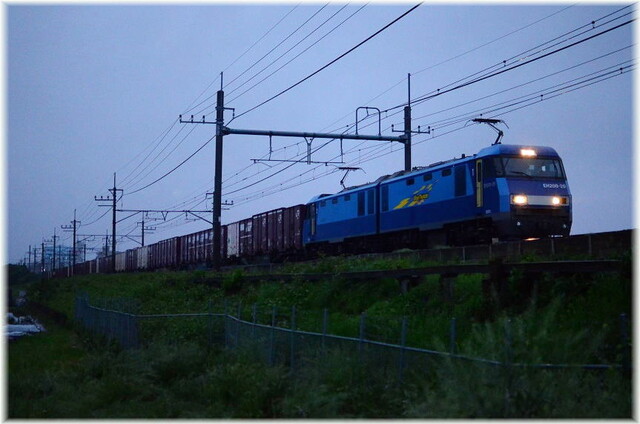 5/10雨の夜明けの見沼田んぼで EH200（ブルサン）牽引武蔵野貨物88列車他 : 新・yoshiのデジカメ＆ネガ写真集