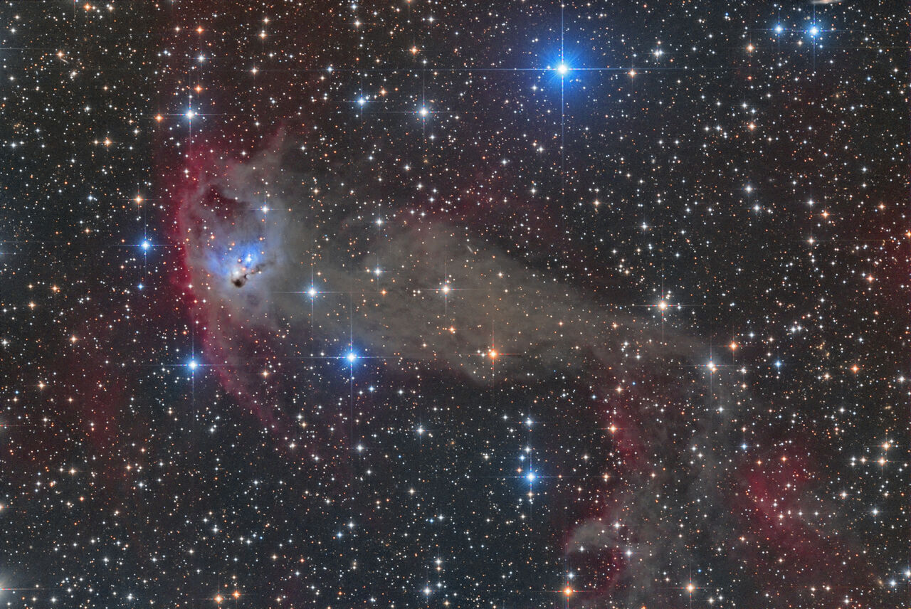 NGC 1788 The Fox Face Nebula a250 : kiriのblog