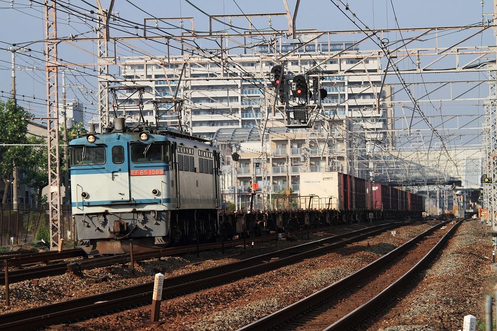 EF65-1089 色違い？ : どんぶりめし