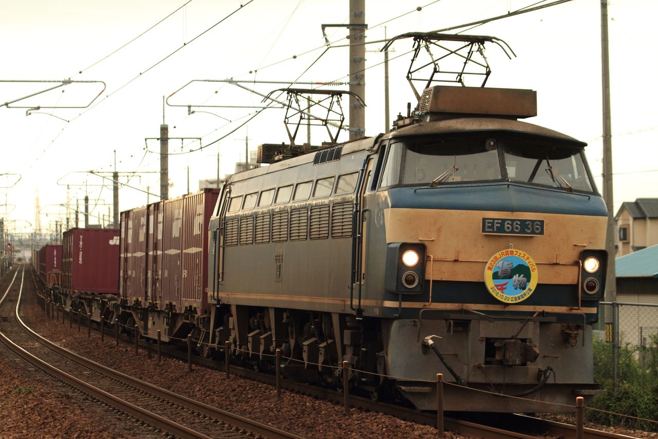 カン集め EF6636 : どんぶりめし