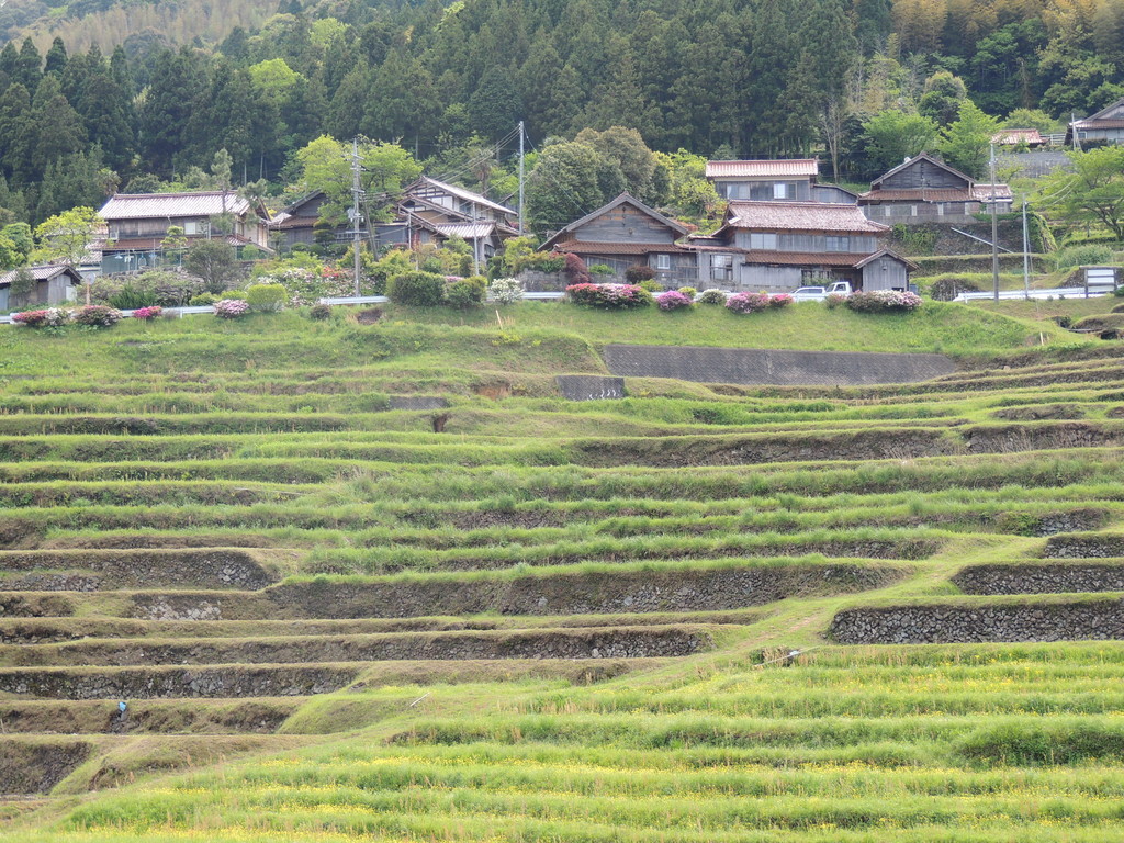 益田市のプチ秘境 | 益田市の歴史・風景体験レビュー