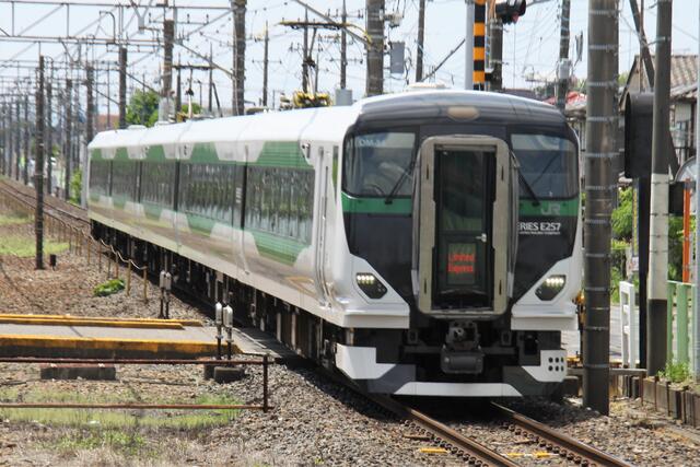 足利大藤まつり号・E257系5500番台が走る！ : 「まつもとあずさ」が3番線にまいります！