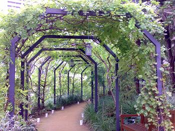 mayu journal : 宝塚ガーデンフィールズ