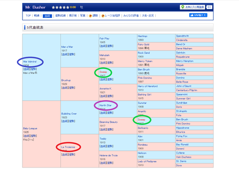 謹賀新年＆血統・配合の考え方について : さるうま！！！