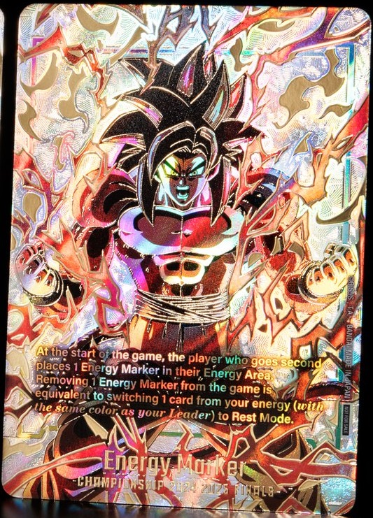 DBFW チャンピオンシップ2024-2025 日本決勝:上位・参加記念品 DBFW チャンピオンシップ2024-2025 日本決勝:上位・参加記念品