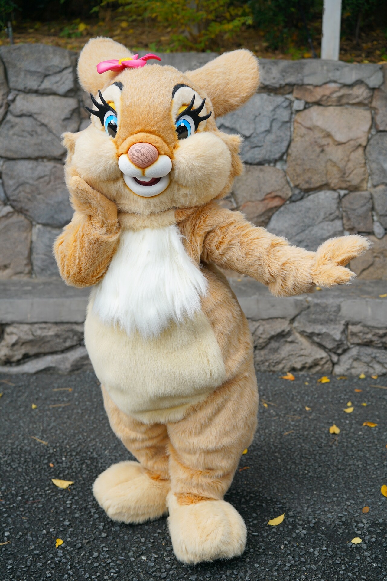 Rabbit In Dawn 12 11インレポ 効率を投げ捨てる