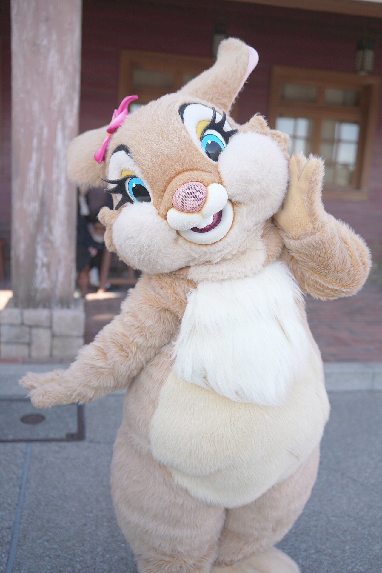 Rabbit In Dawn 熱意の波に