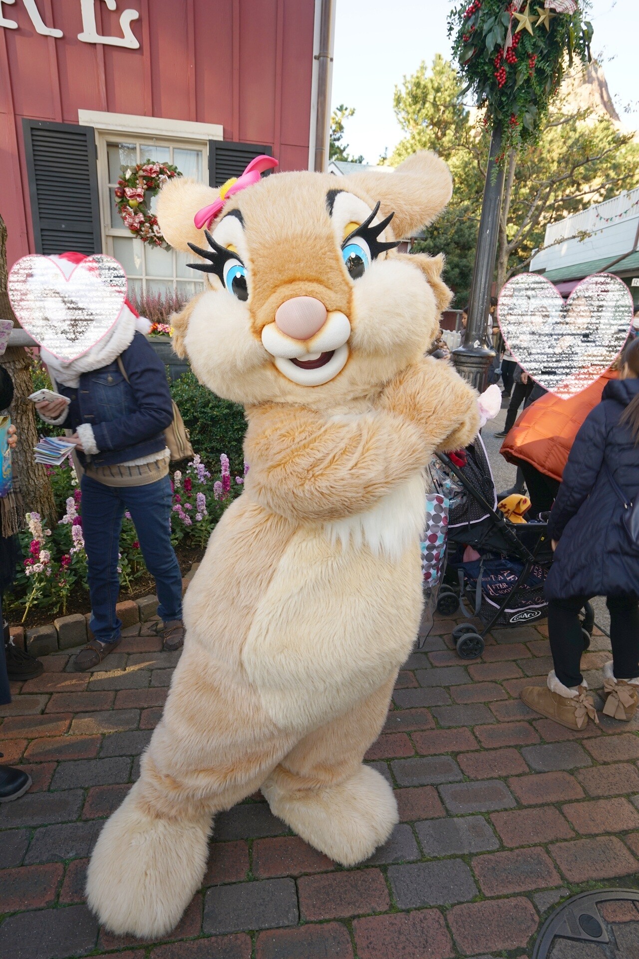 Rabbit In Dawn 初心に返りたい