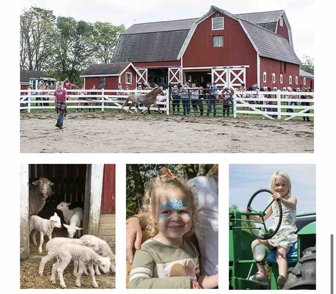 FARM FEST 🐷6/4〜Maybury Farm〜 : みんなで作るMichiganライフ