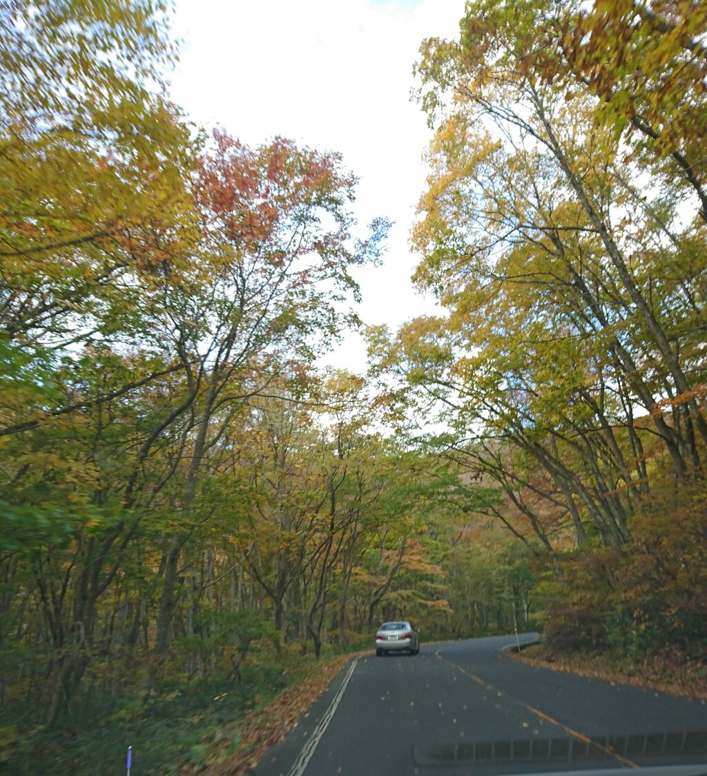 SOUND MIK:美味しいコーヒー