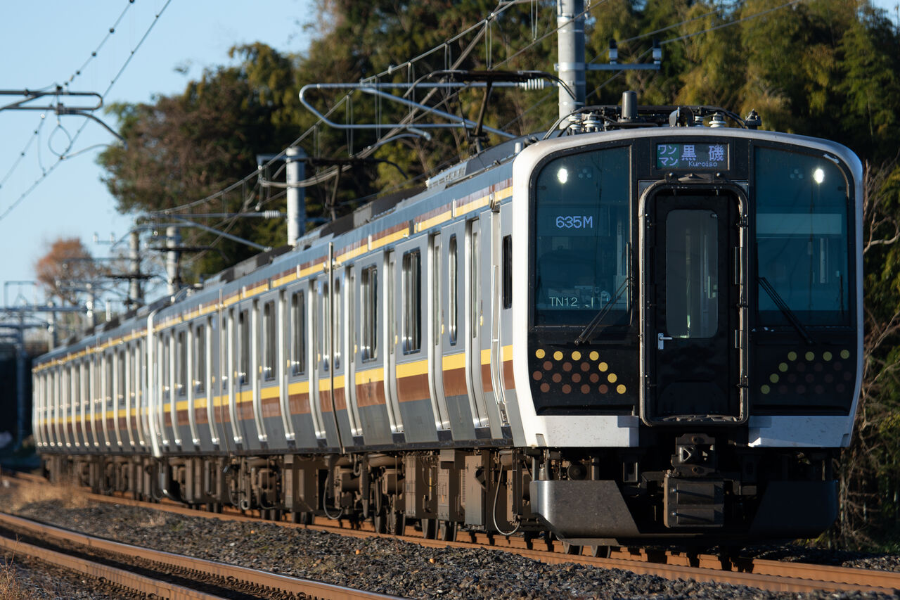 12月の635M : 反実仮想