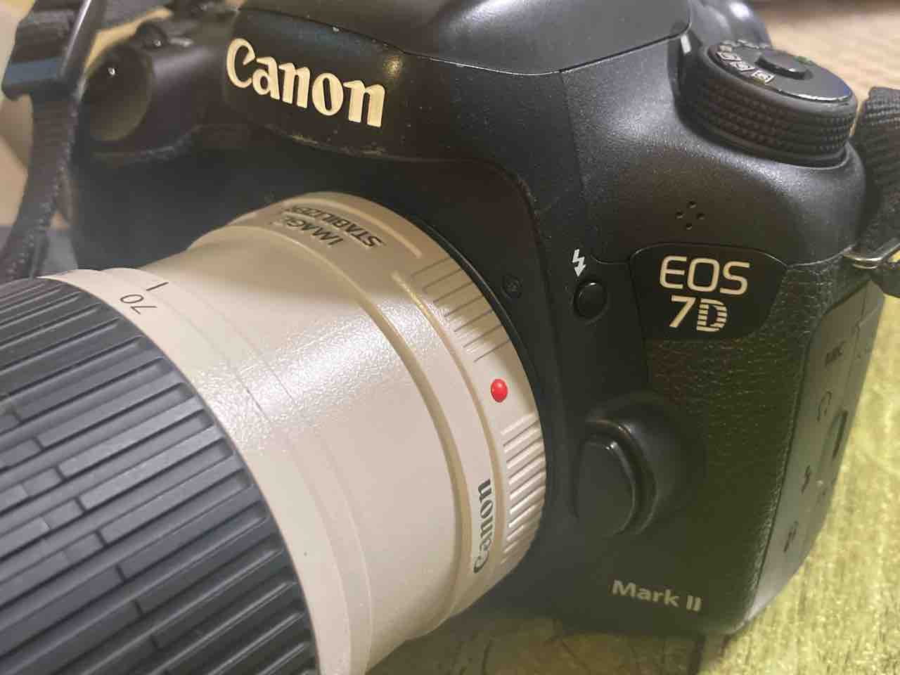 7D2を譲ってもらったから試し撮り : 反実仮想