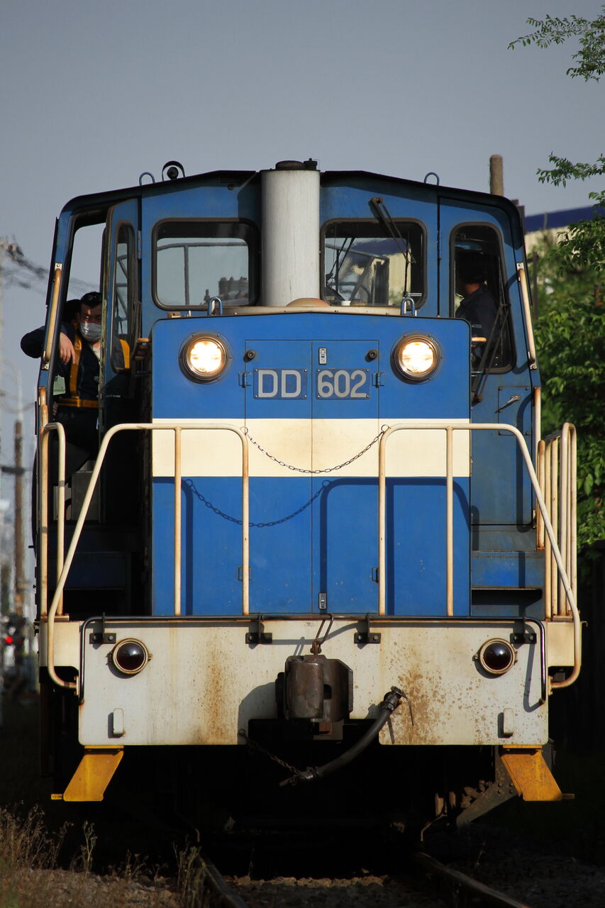 DD55を撮らせろ。 : 反実仮想