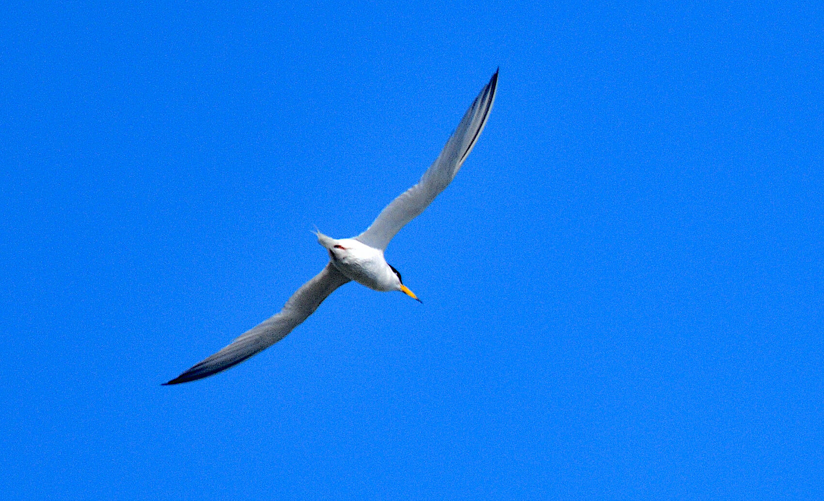 輝いて生きたい