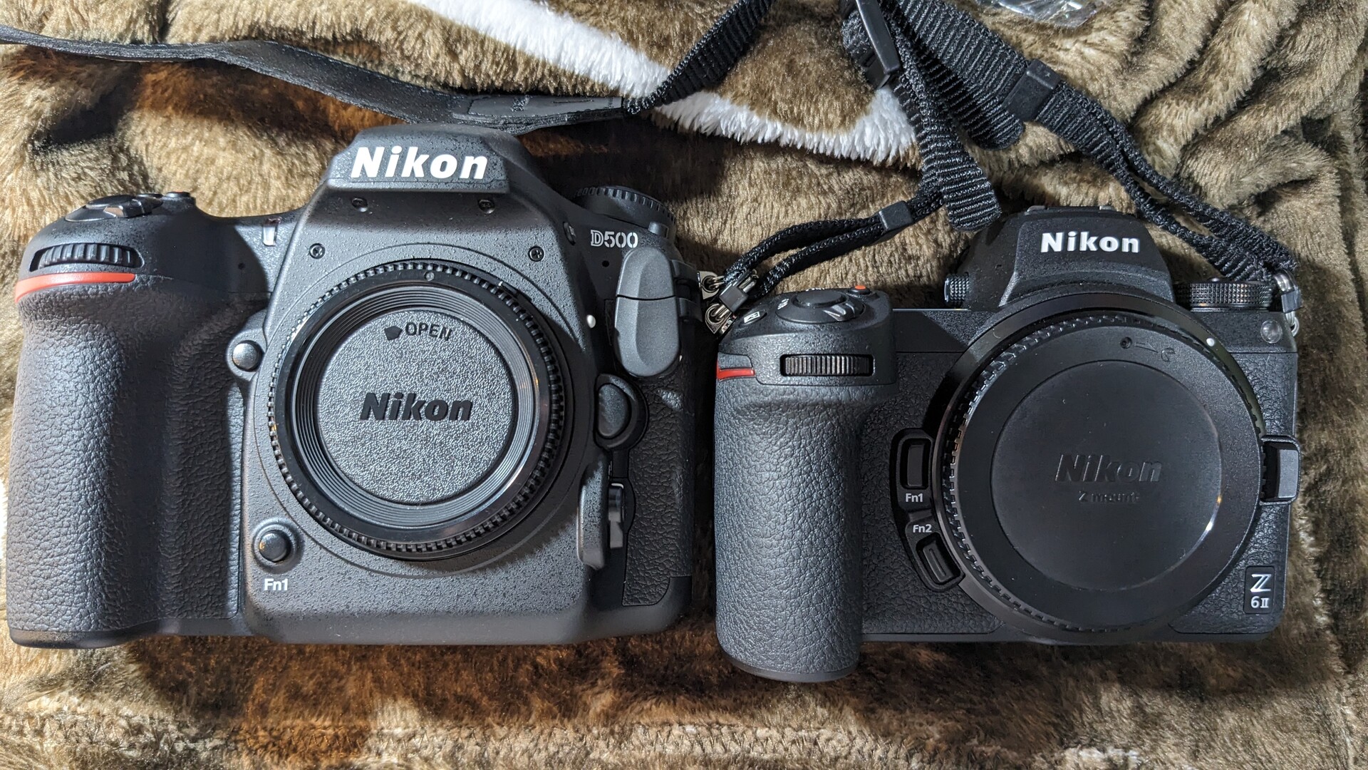 Nikon D500購入報告 : 雑用係の雑記帳