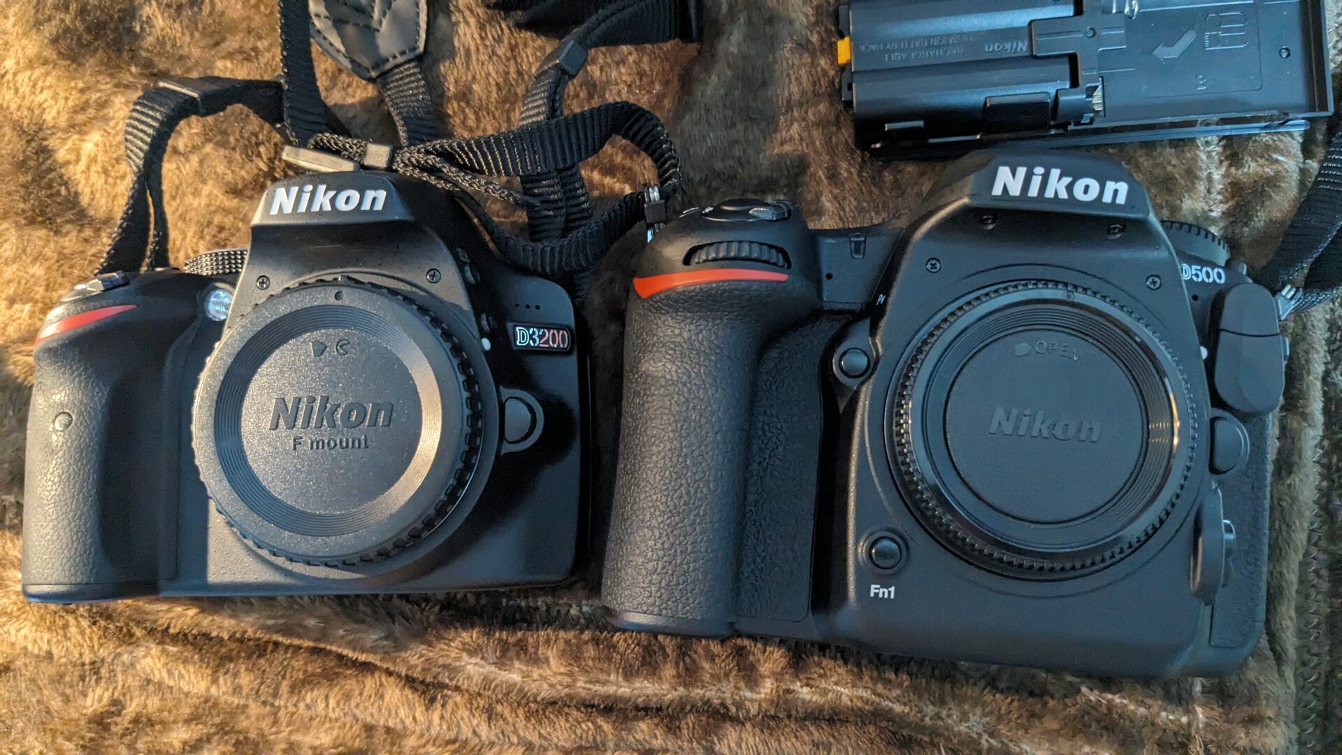Nikon D500購入報告 : 雑用係の雑記帳