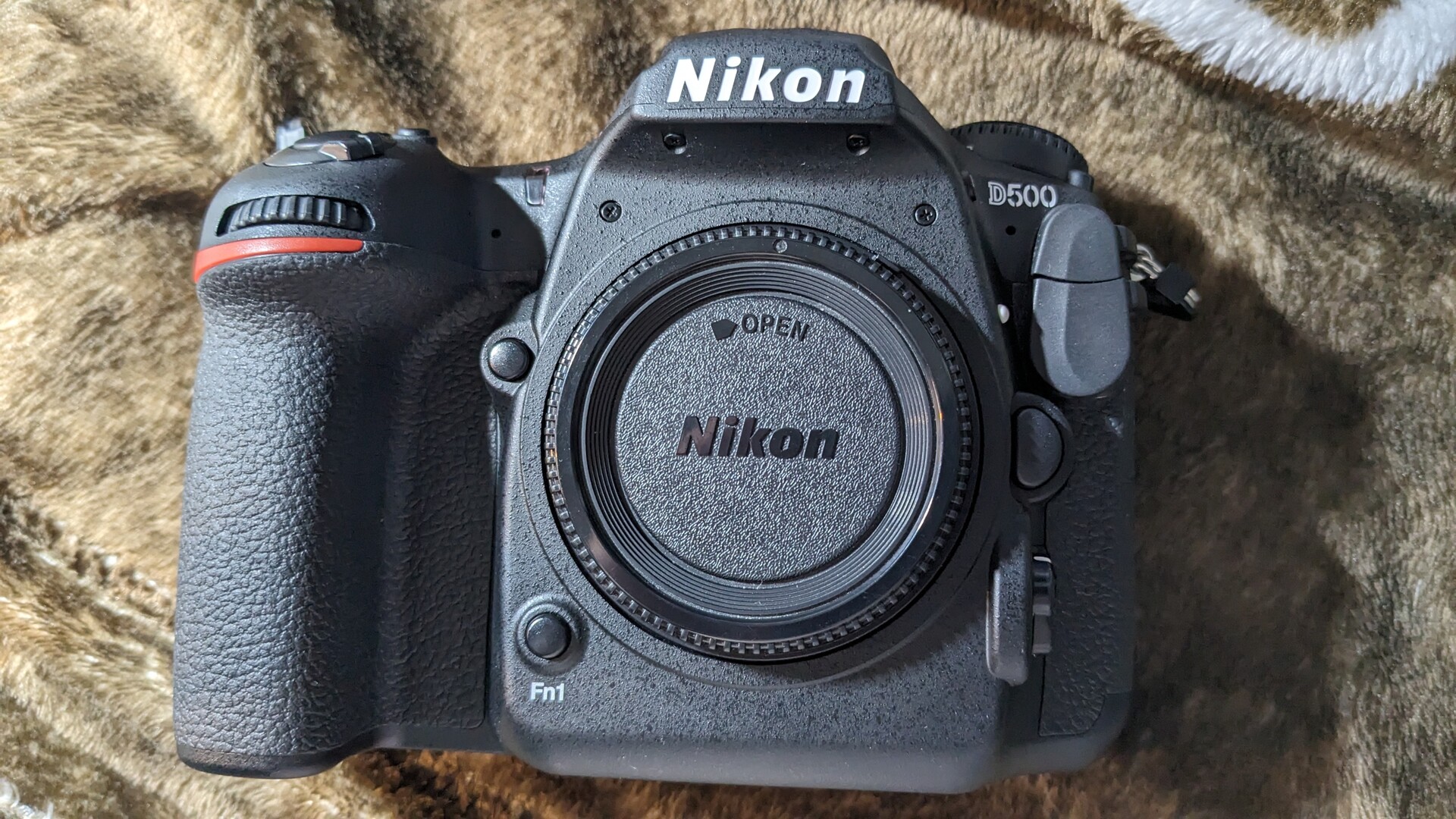 Nikon D500購入報告 : 雑用係の雑記帳