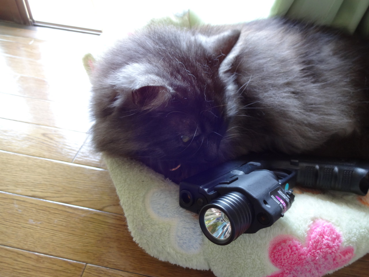 FROG SGS:辛いは旨い - livedoor Blog（ブログ）